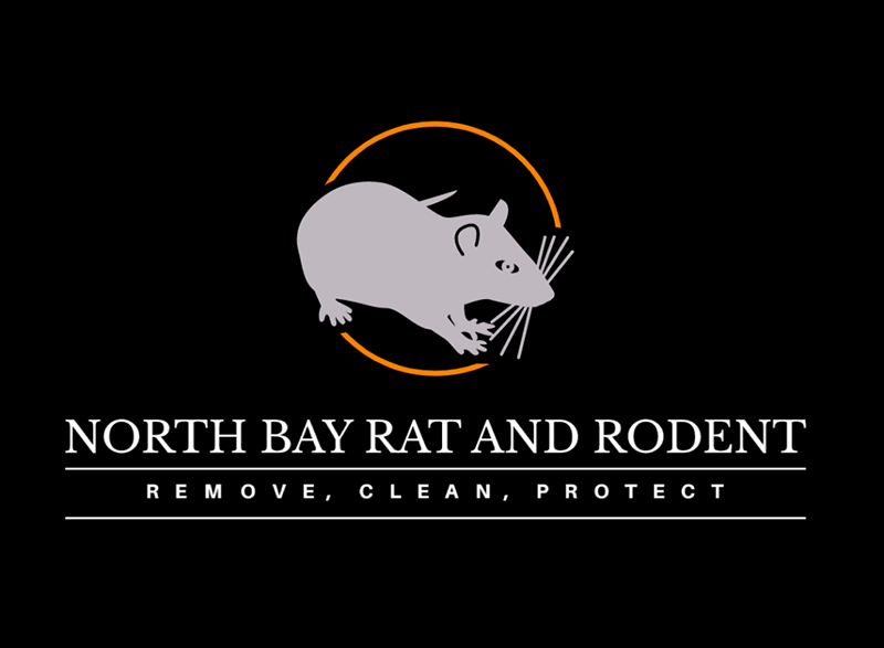 Rodent Control Services for Rats & Mice in Marin County